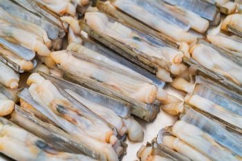 Las navajas, un marisco delicioso que puedes consumir todo el año