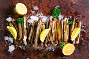 Las navajas, un marisco delicioso que puedes consumir todo el año